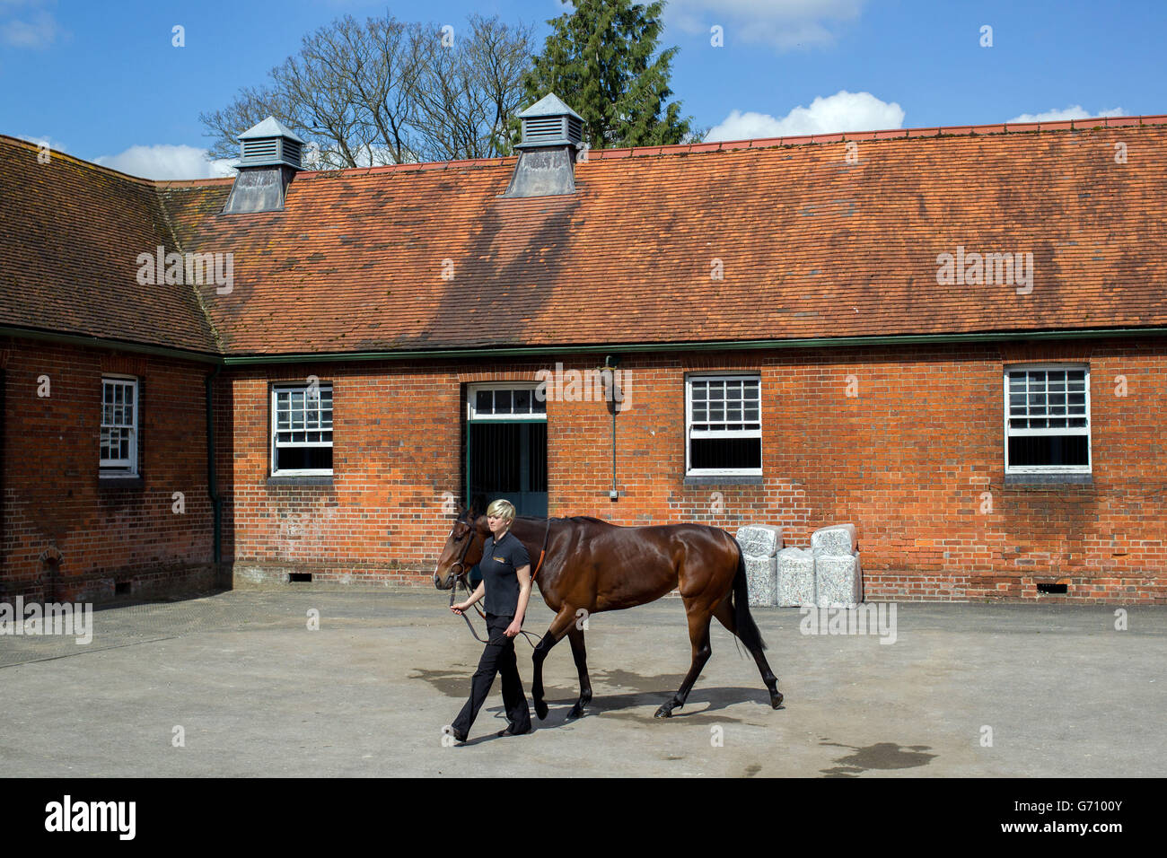 Kingsclere park house stables hi-res stock photography and images - Alamy