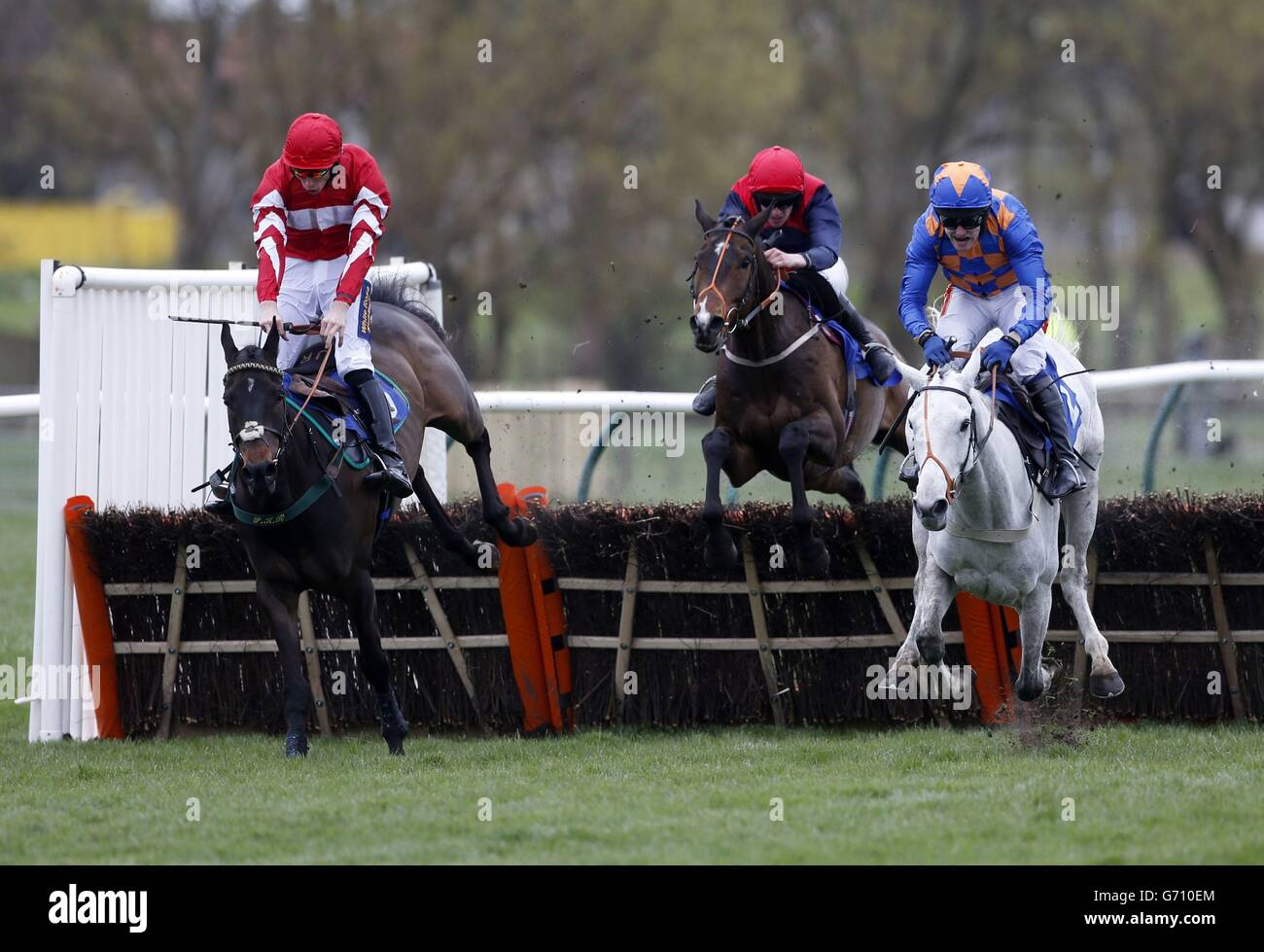 Horse Racing - Coral Scottish Grand National - Day One - Ayr Racecourse ...