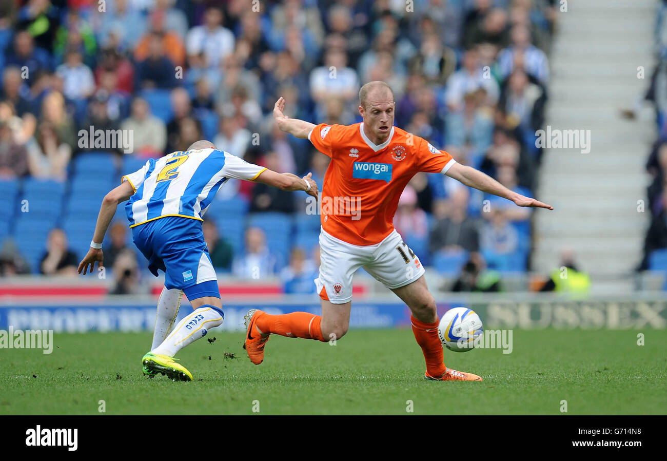 Blackpool's Neil Bishop (right) runs past Brighton & Hove Albion's ...