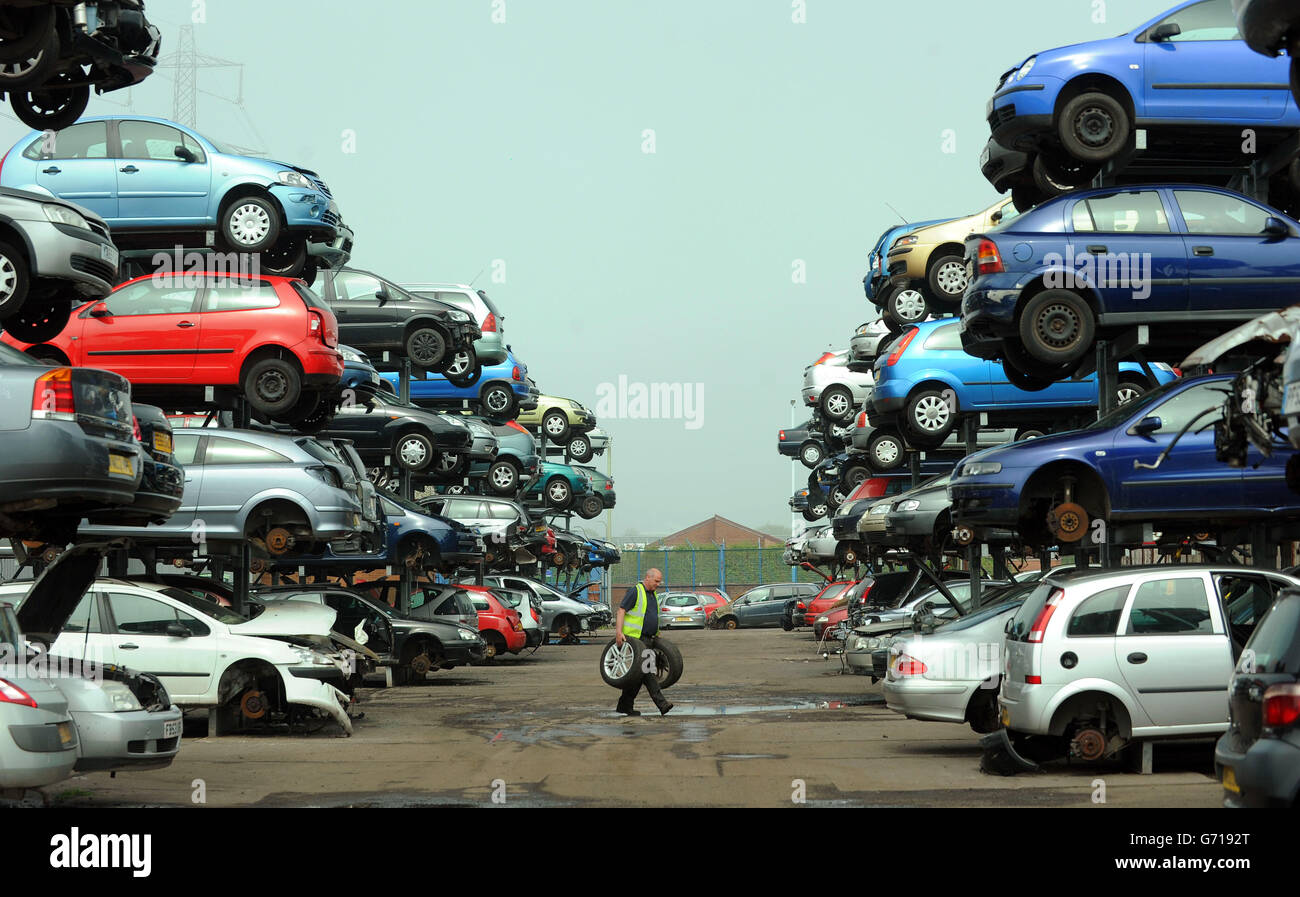 Motor Hog feature Stock Photo - Alamy