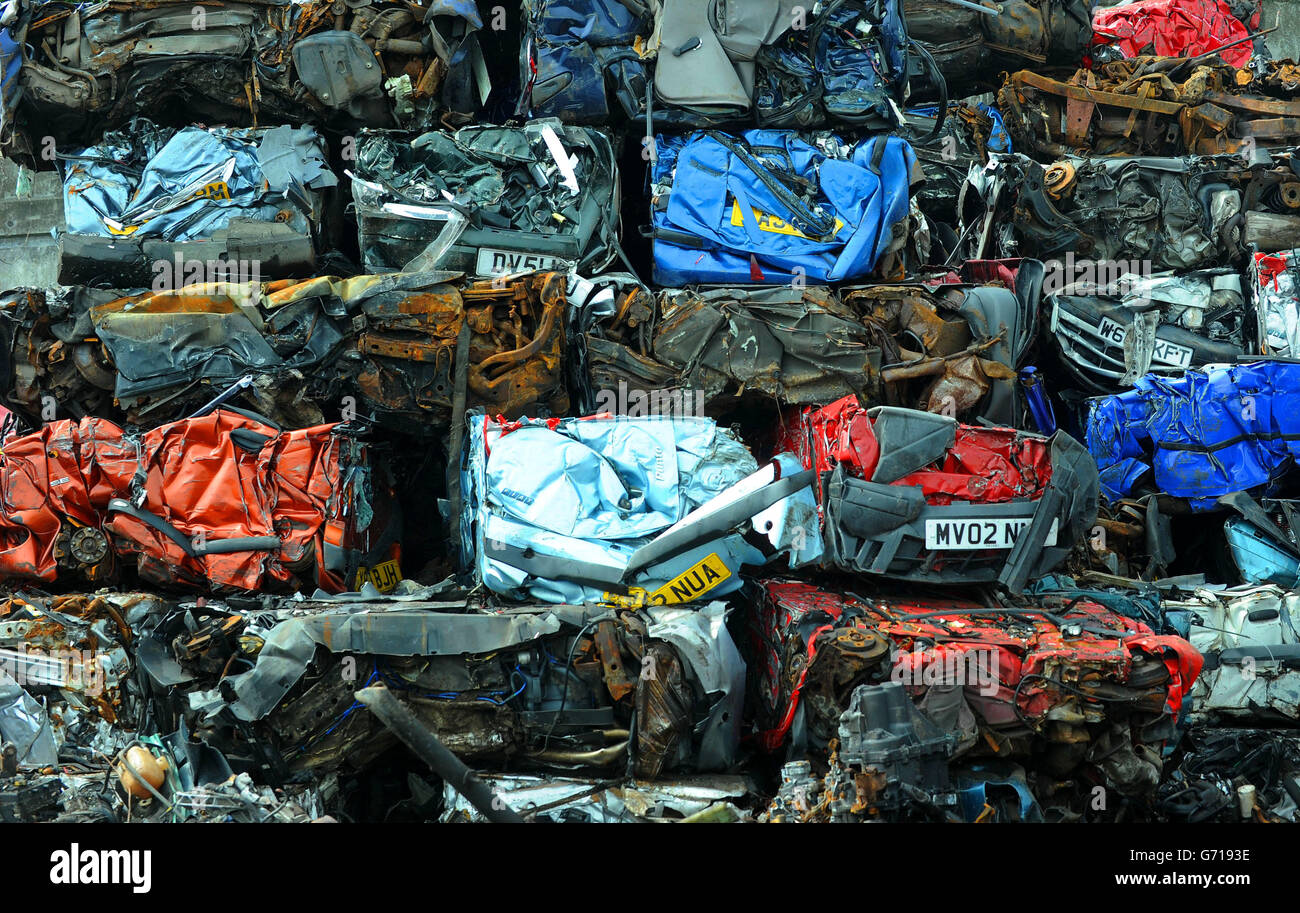 Motor Hog feature Stock Photo - Alamy