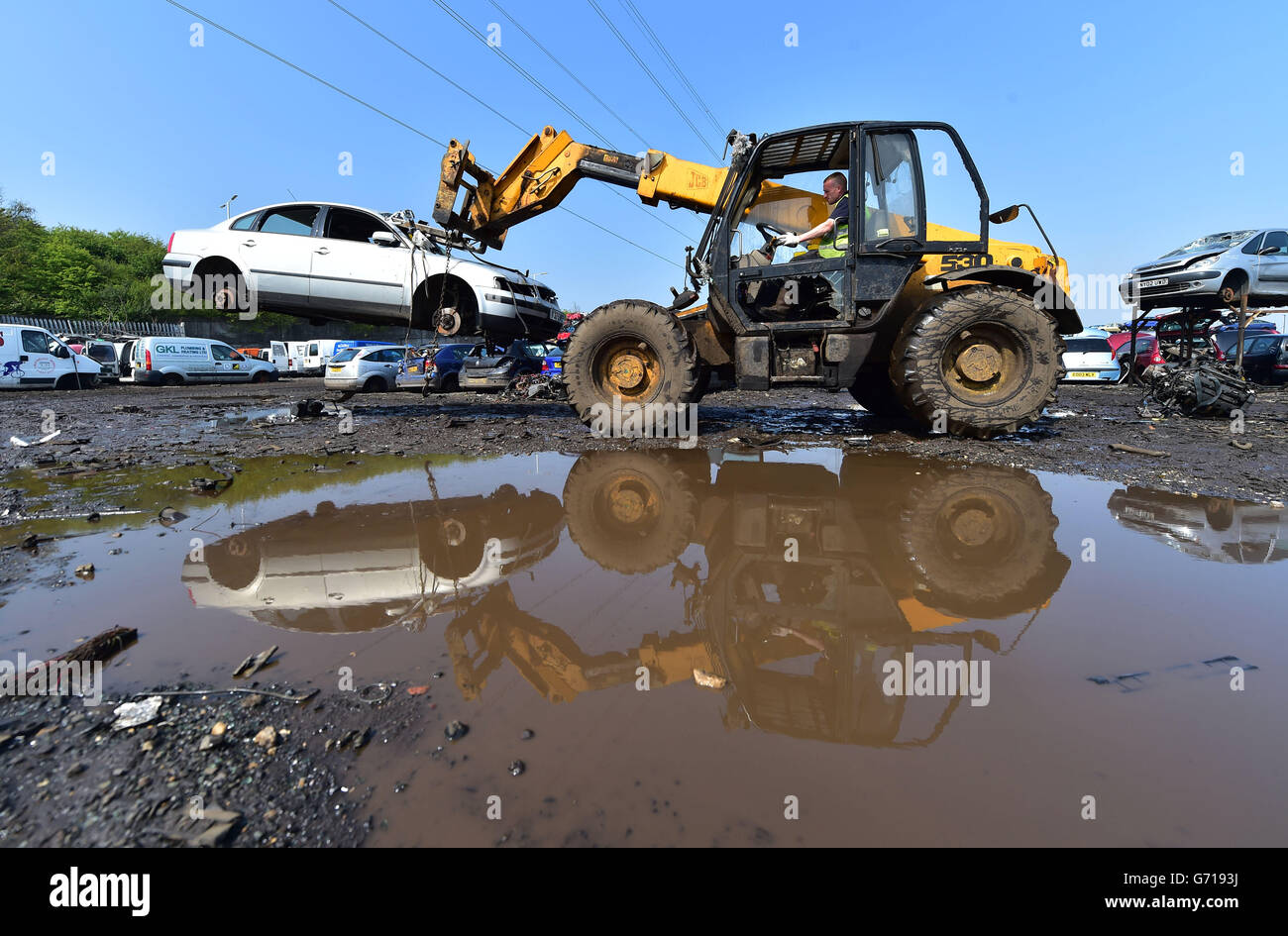 Motor Hog feature Stock Photo - Alamy