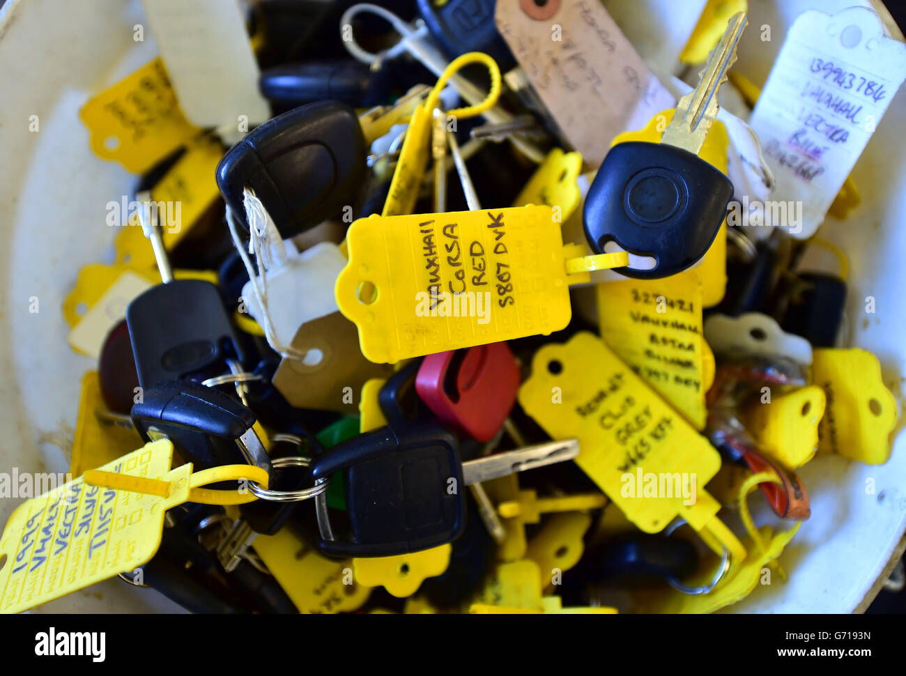 Motor Hog feature Stock Photo - Alamy