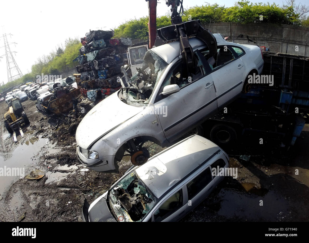 Motor Hog feature Stock Photo - Alamy