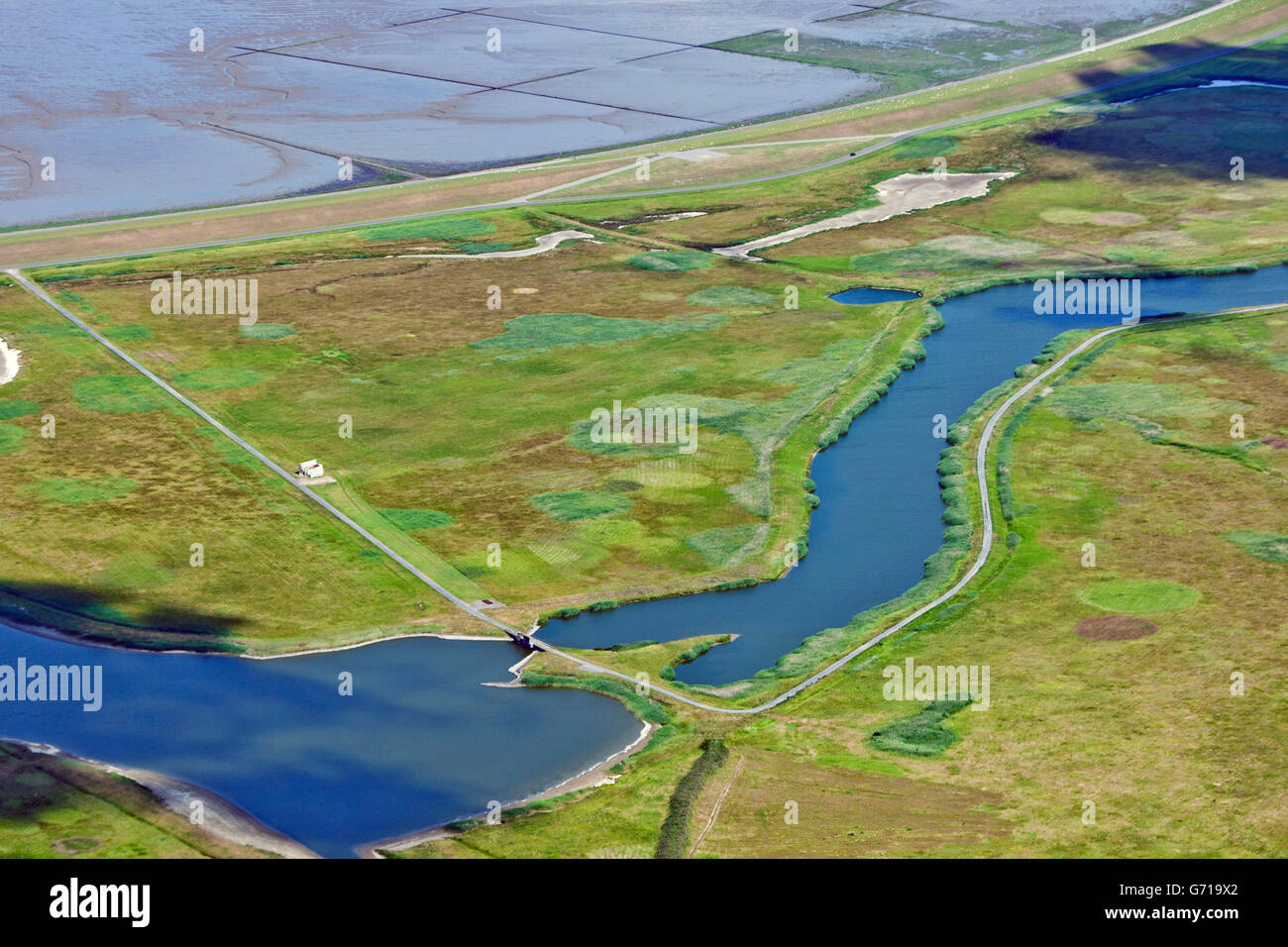 North Sea coast, Dithmarschen, Schleswig-Holstein, Germany Stock Photo ...
