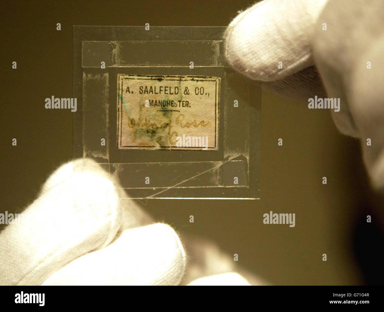 A label from a perfume bottle recovered from the wreck of the Titanic ...