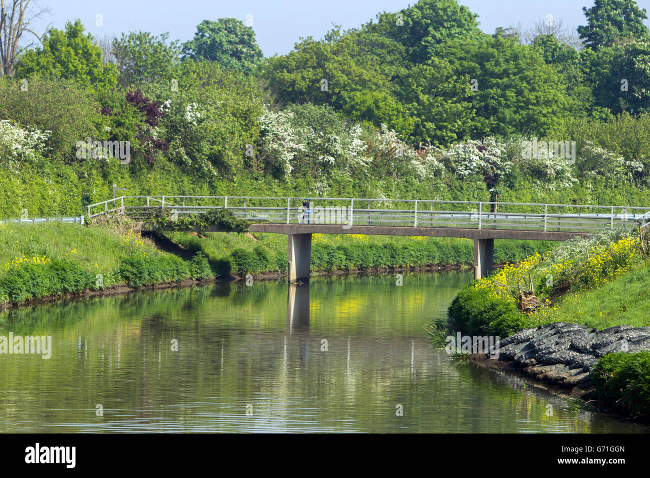 River Mole flood damage check Stock Photo - Alamy