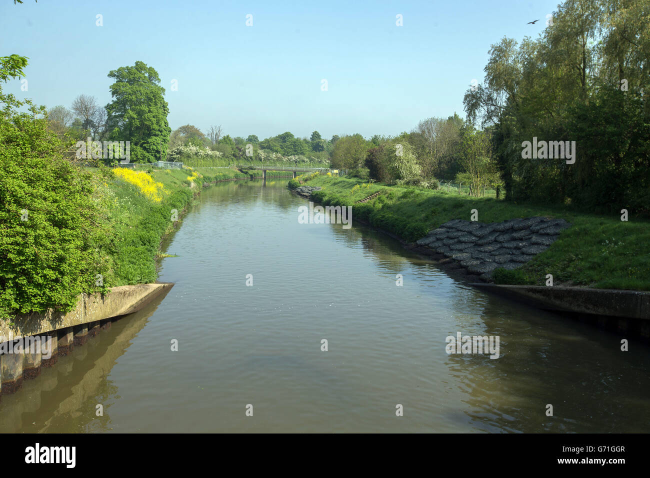 River Mole flood damage check Stock Photo - Alamy