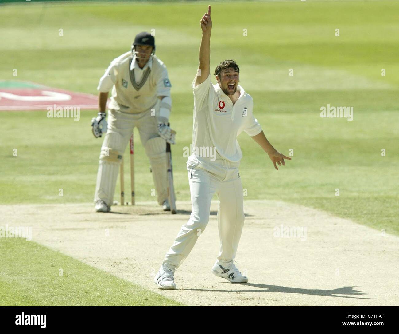 Sport cricket appeals lbw arm raised steve harmison hi-res stock ...