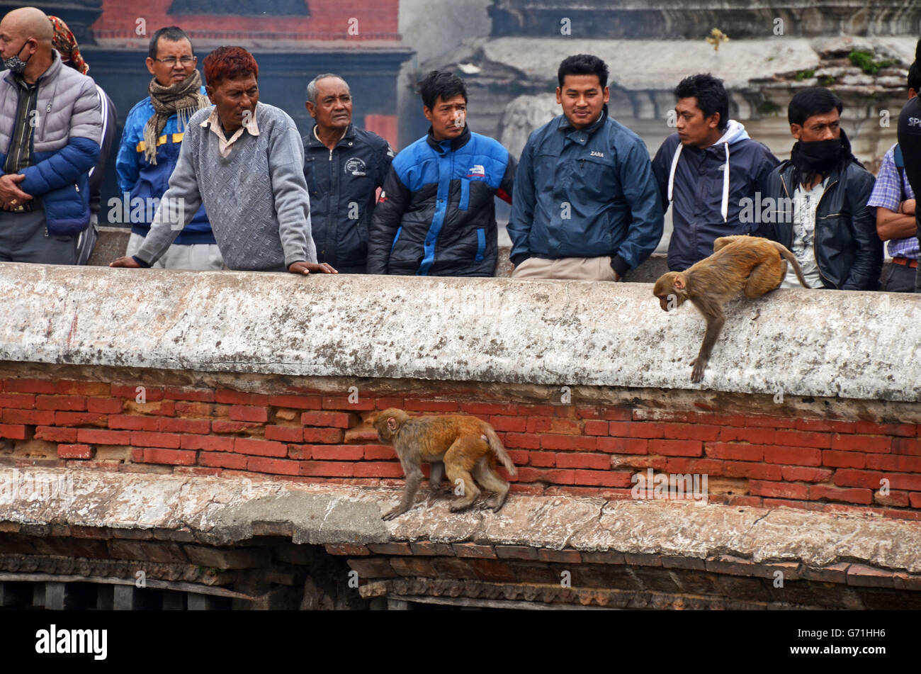 Bridge over bagmati river pashupatinath hi-res stock photography and ...