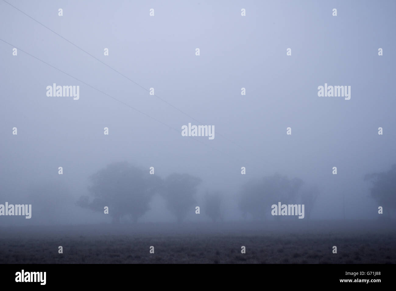 Early morning country walk along fence line into the fog and frost ...