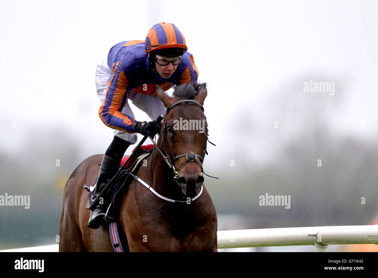 The Great War ridden by Joesph O'Brien wins The Most Improved European ...