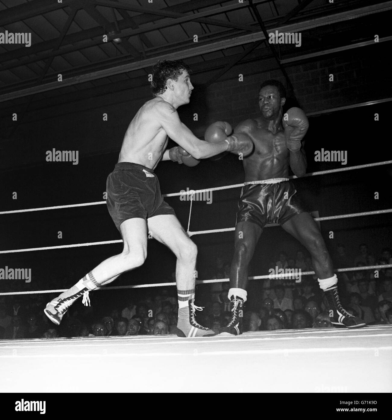 Middleweights hi-res stock photography and images - Alamy