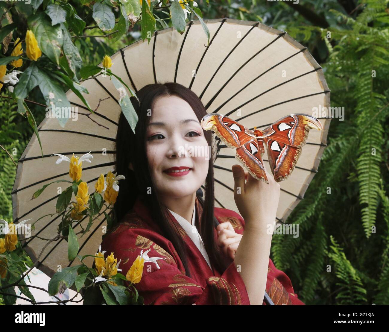 Scottish Opera - Madama Butterfly Stock Photo - Alamy