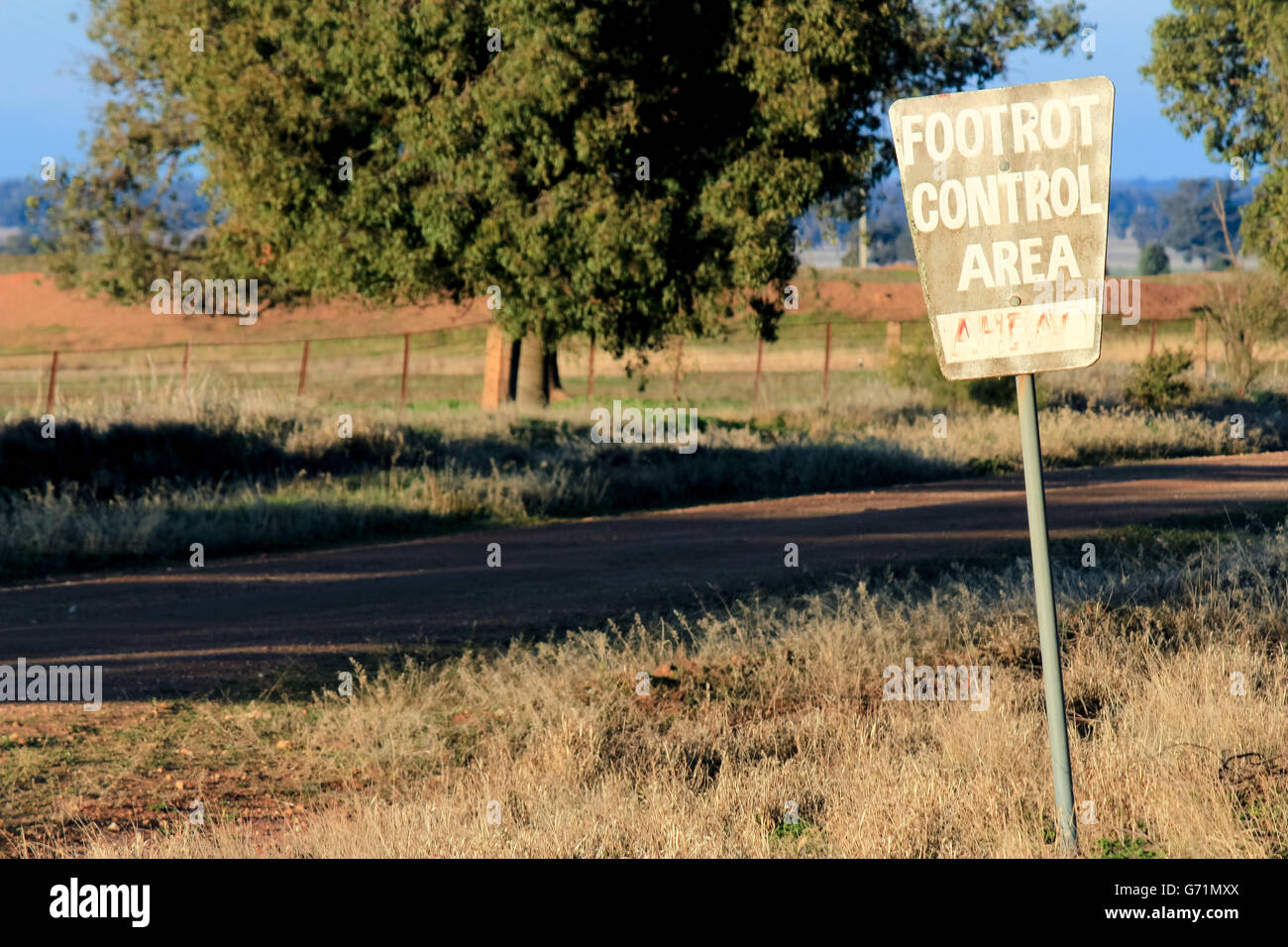 Foot rot hi-res stock photography and images - Alamy