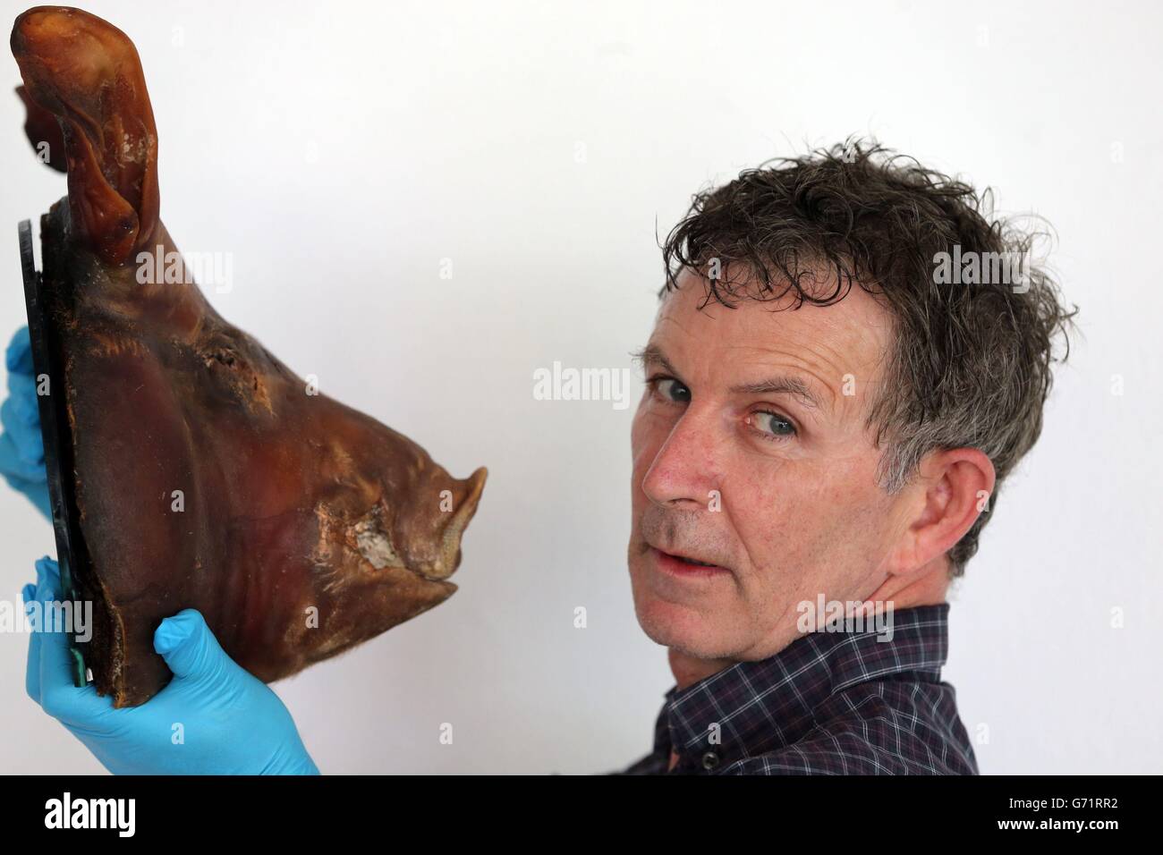 Fat lab hi-res stock photography and images - Alamy