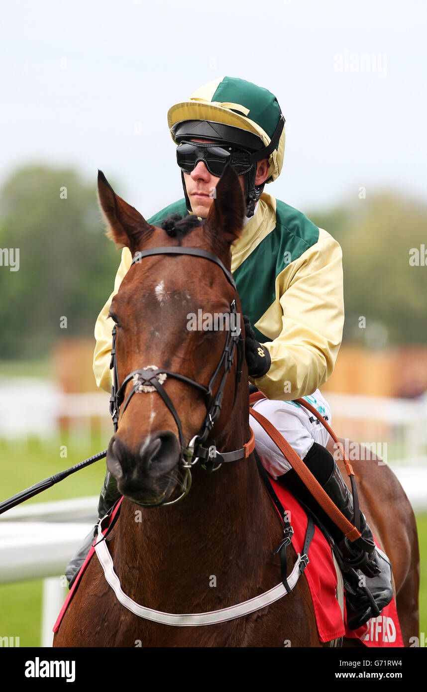 Dale Swift riding Doc Harry in The Betfred supports Jack Berry House ...