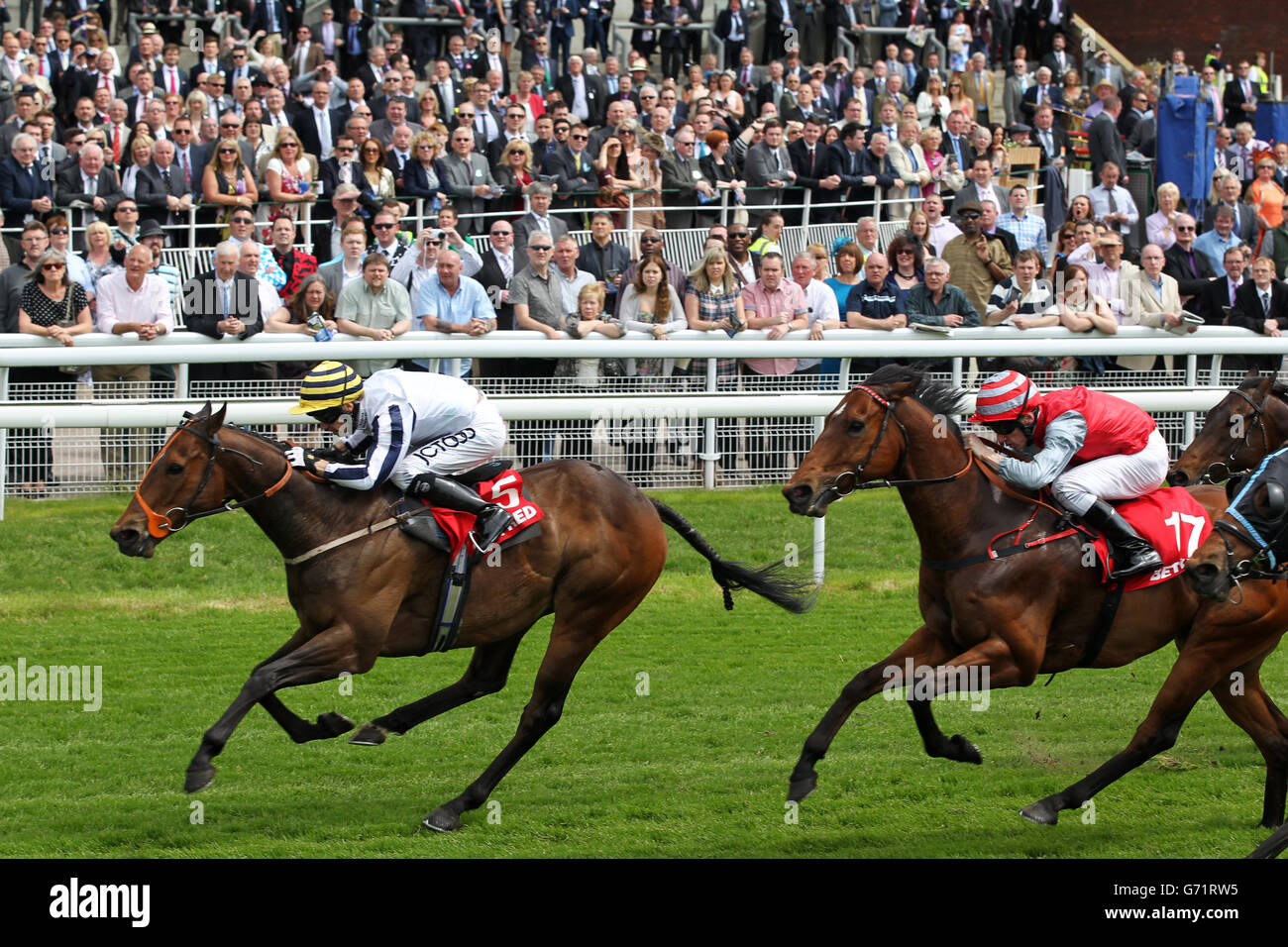 Horse Racing - Dante Festival 2014 - Day Two - The Betfred supports ...