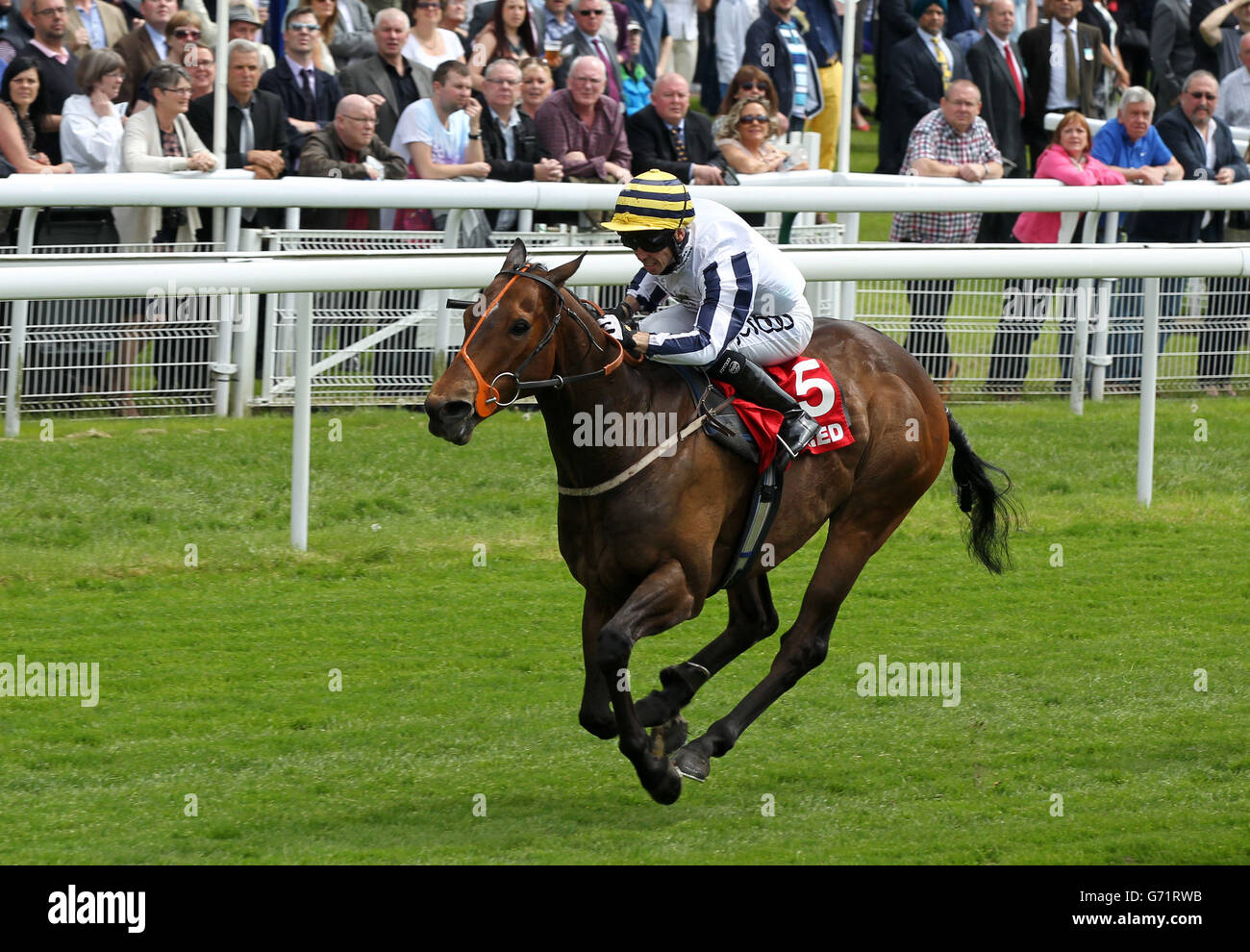 Jack berry house hi-res stock photography and images - Alamy