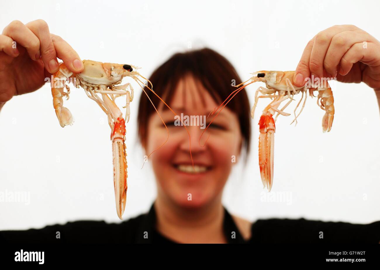 Howth ireland prawn festival hi-res stock photography and images - Alamy
