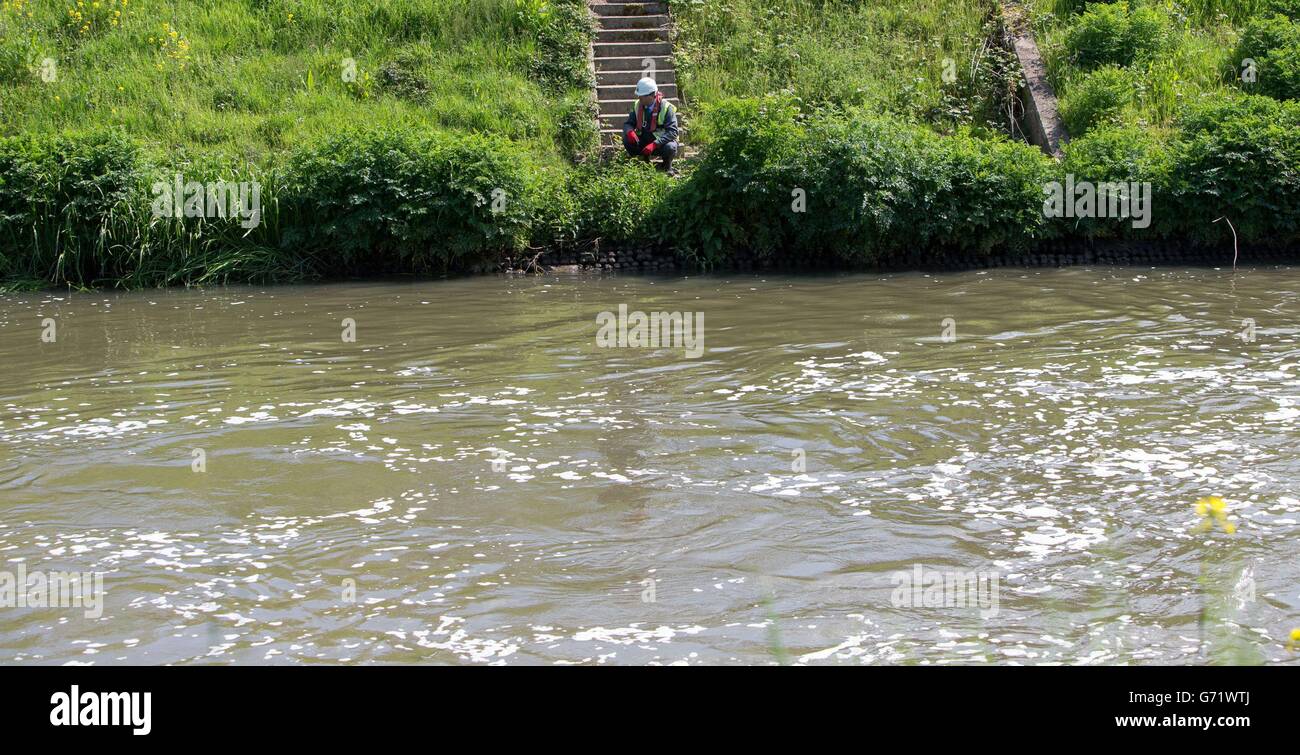 River Mole flood damage check Stock Photo - Alamy