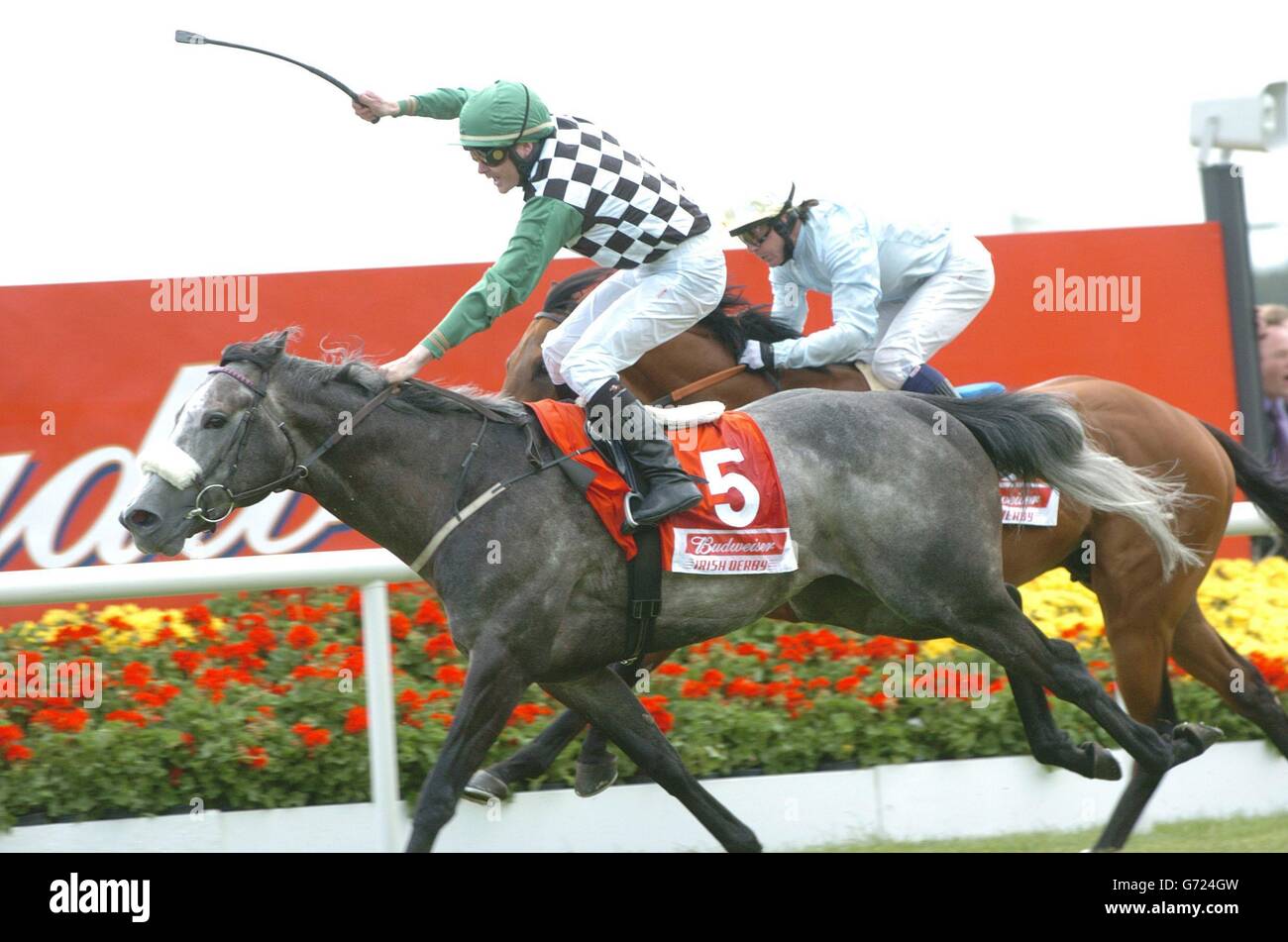Pat Smullen riding Grey Swallow, on his way to winning the Budweiser ...