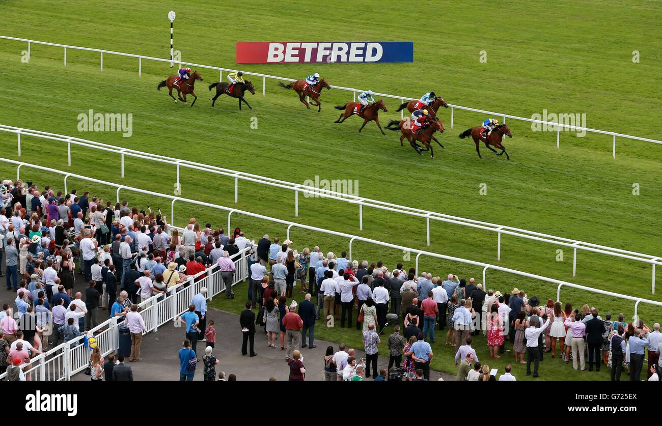 Horse racing jlt lockinge stakes day newbury racecourse hi-res stock ...