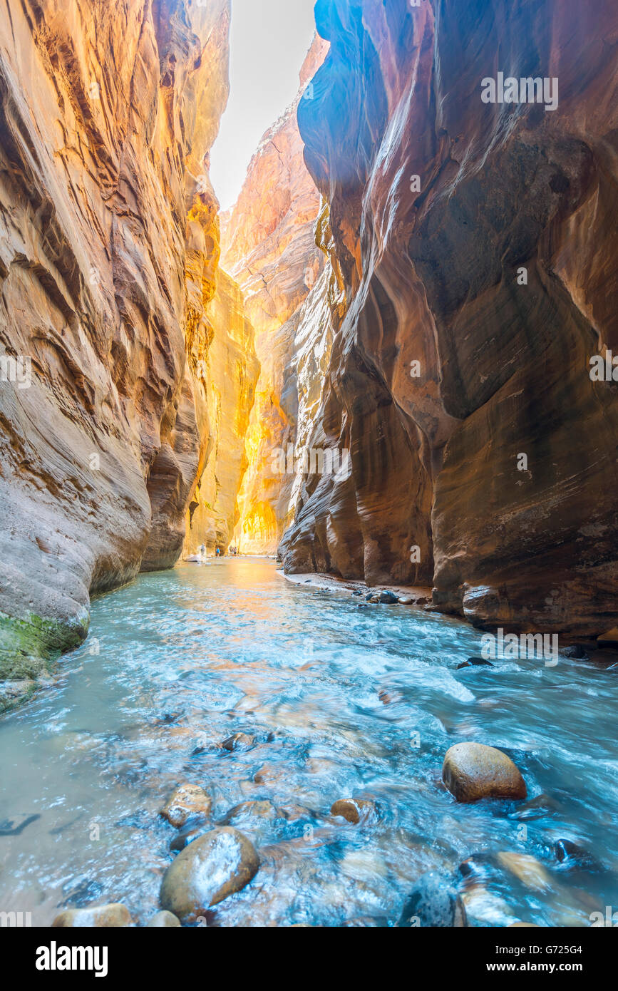 The Narrows, Virgin River, steep walls, Zion Canyon, Zion National Park ...