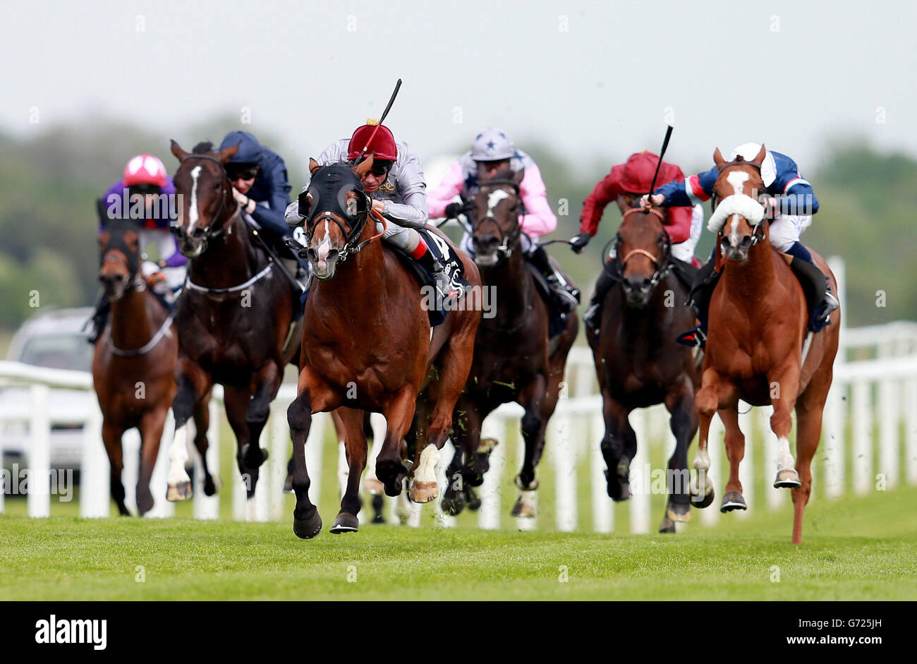 Horse racing jlt lockinge stakes day newbury racecourse hi-res stock ...