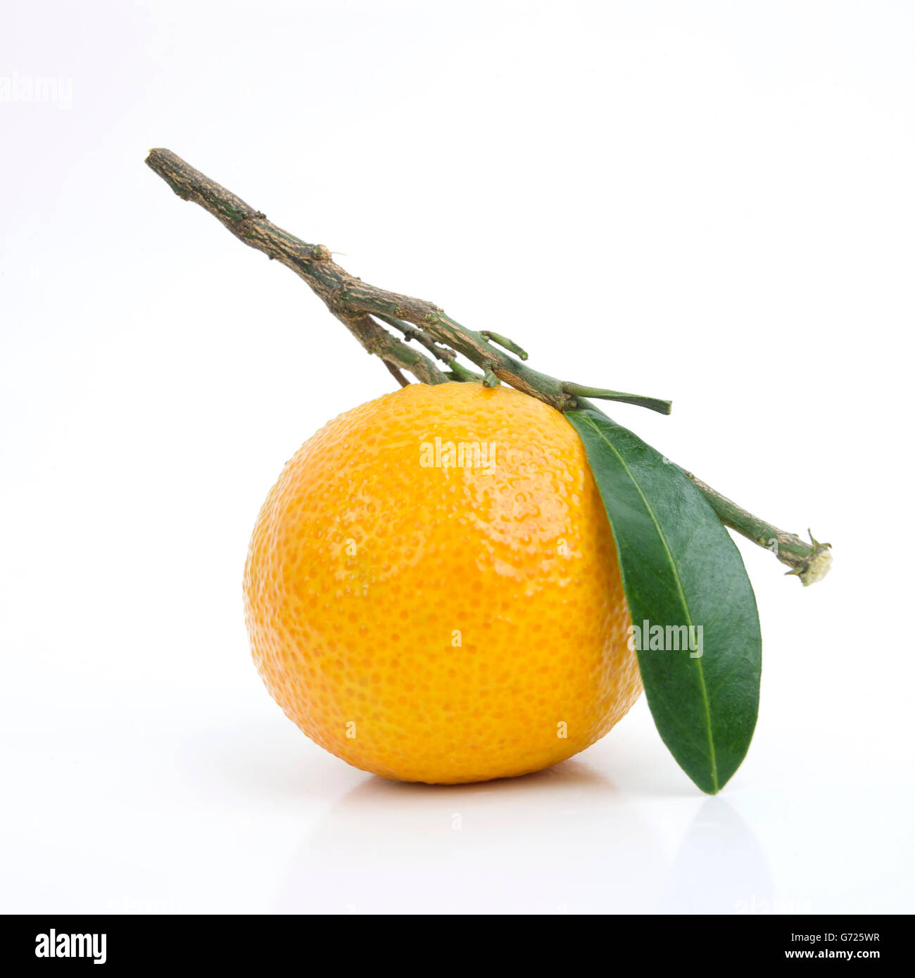 Satsuma hi-res stock photography and images - Alamy