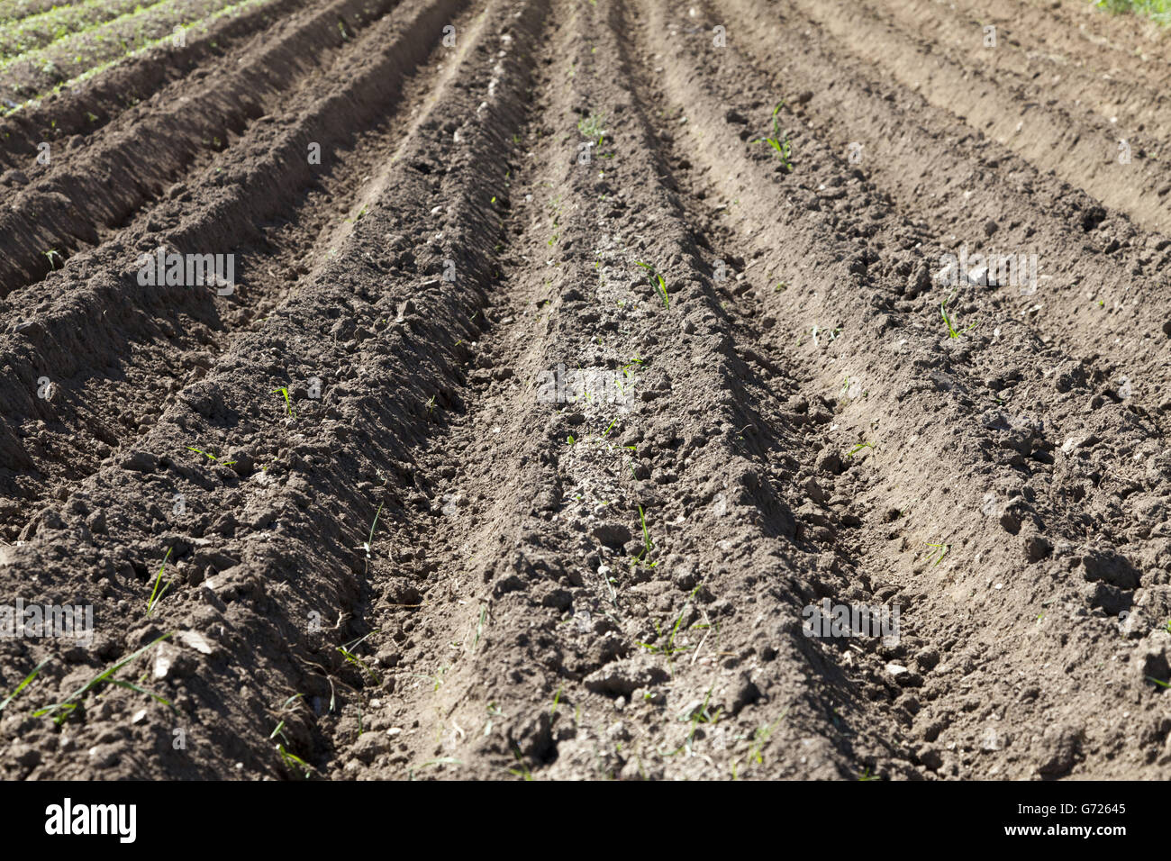 Plow furrows hi-res stock photography and images - Alamy