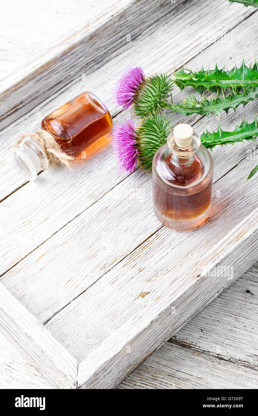 Buds medicinal wild plants burdock and burdocks medicinal tincture from ...