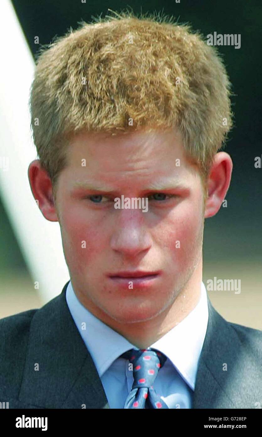 Prince Harry at the opening of a fountain built in memory of his mother ...