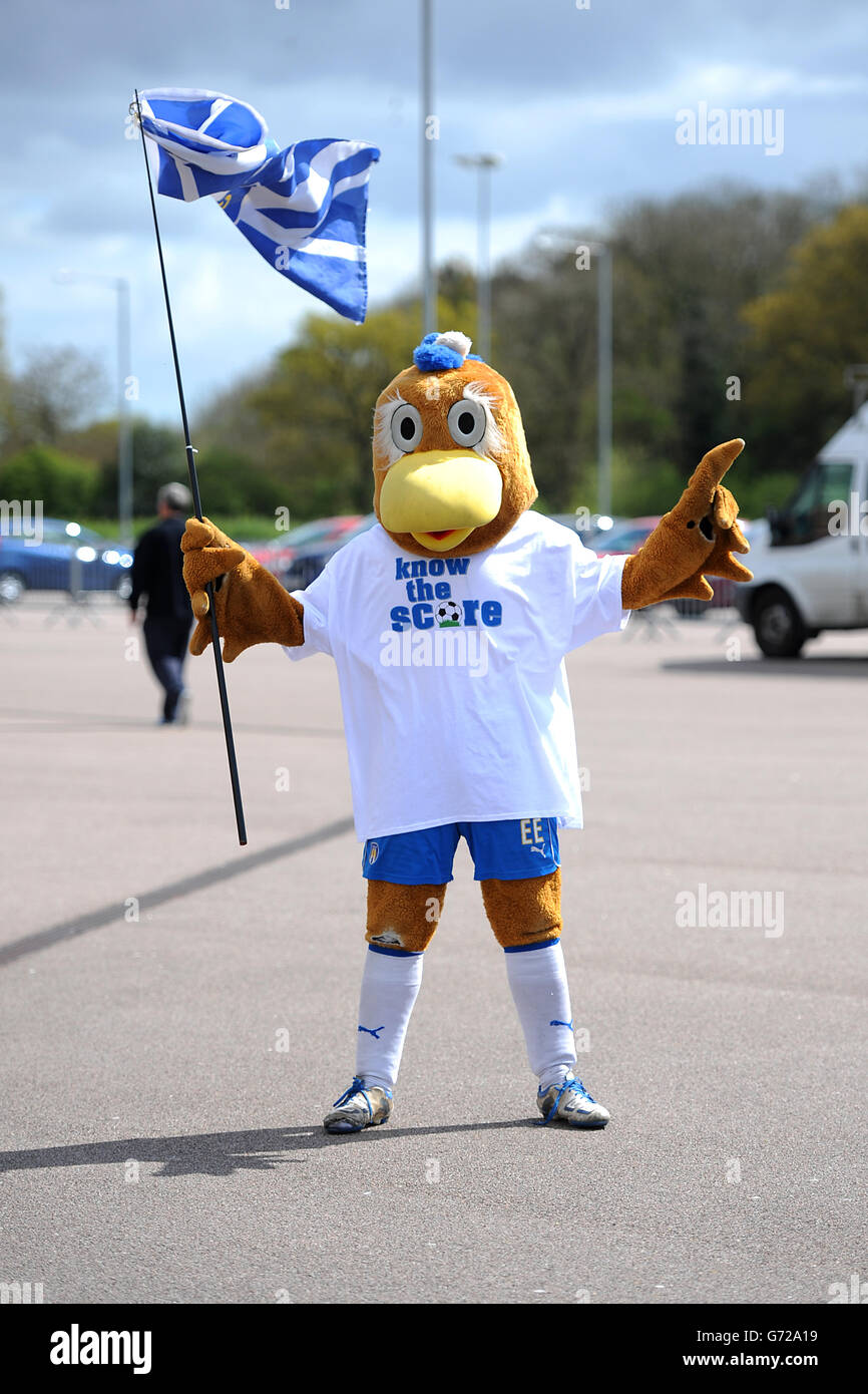 Colchester united mascot hi-res stock photography and images - Alamy