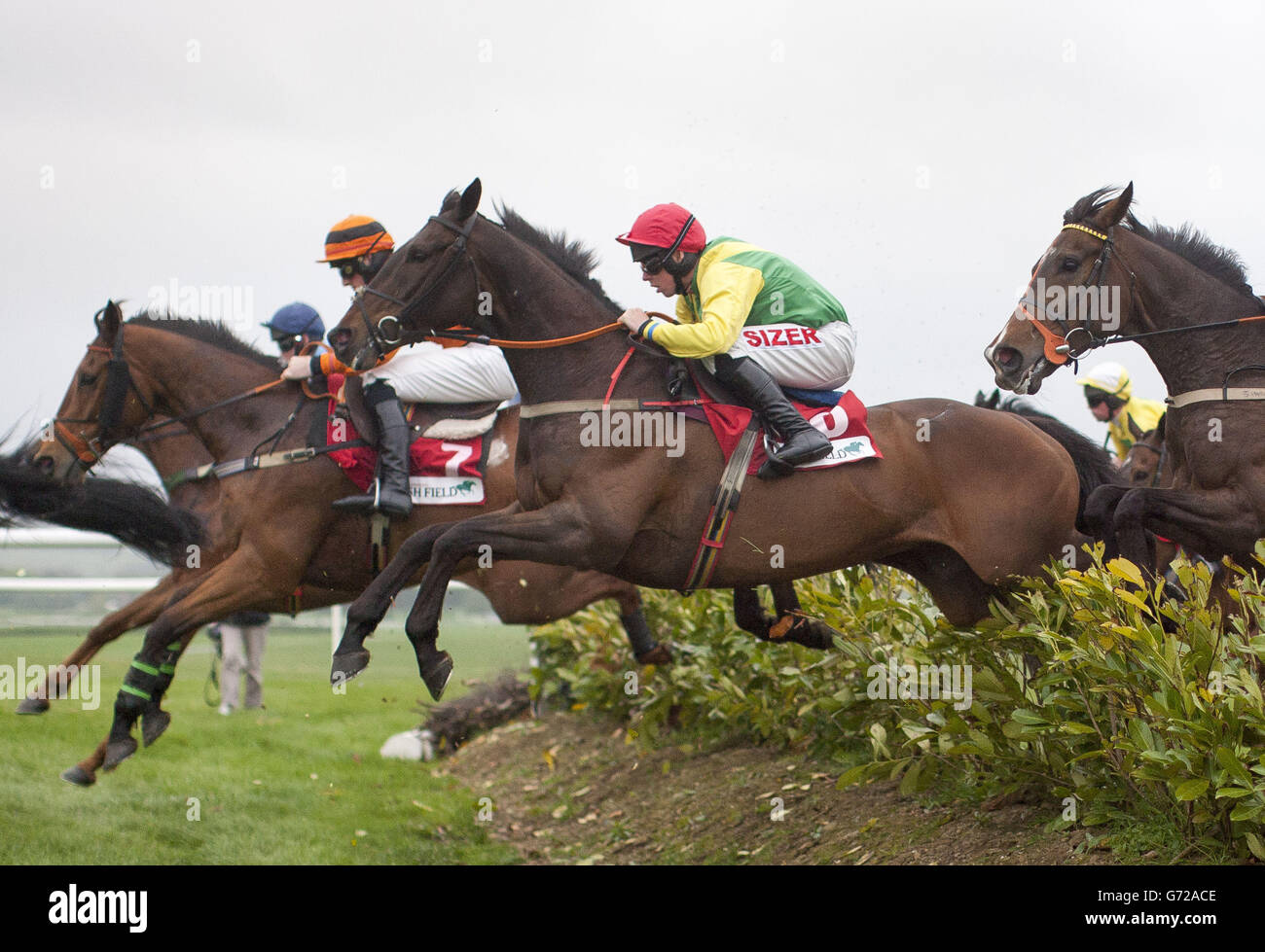 Irish Field Steeplechase High Resolution Stock Photography and Images ...