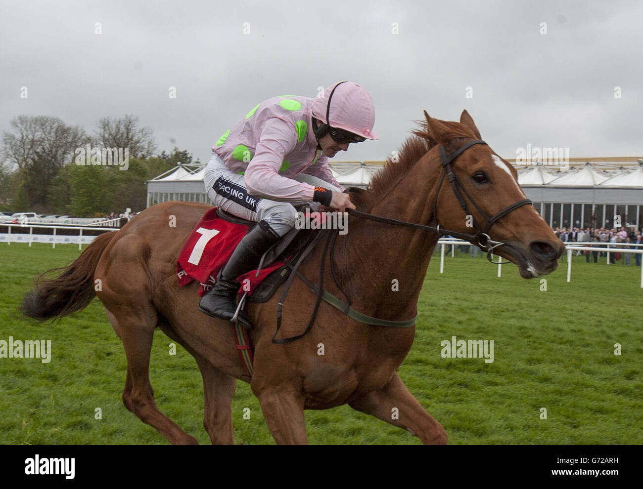 Annie power horse hi-res stock photography and images - Alamy
