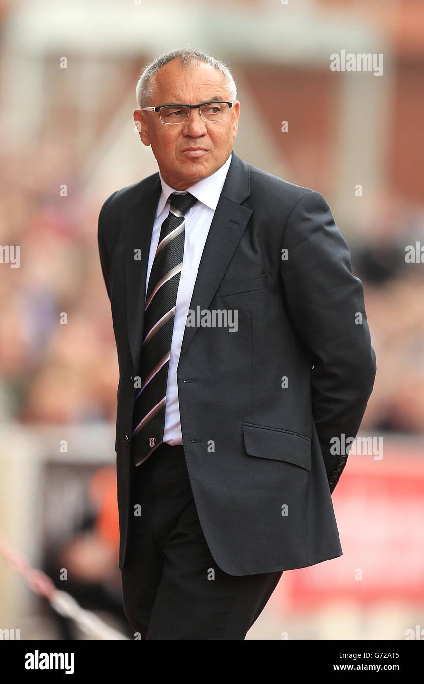 Fulham manager felix magath looks back ruefully on the touchline hi-res ...