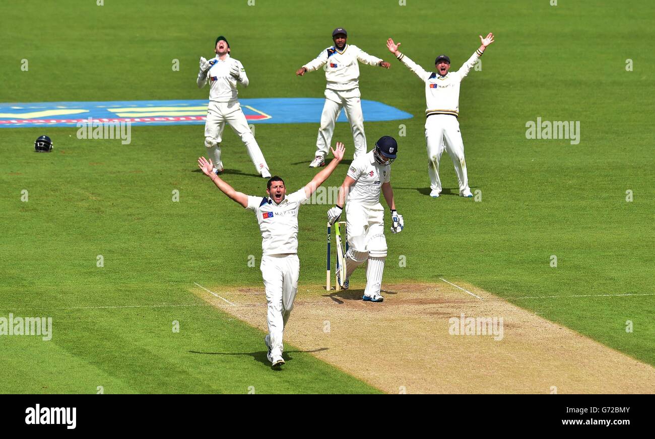 Yorkshires tim bresnan hi-res stock photography and images - Alamy