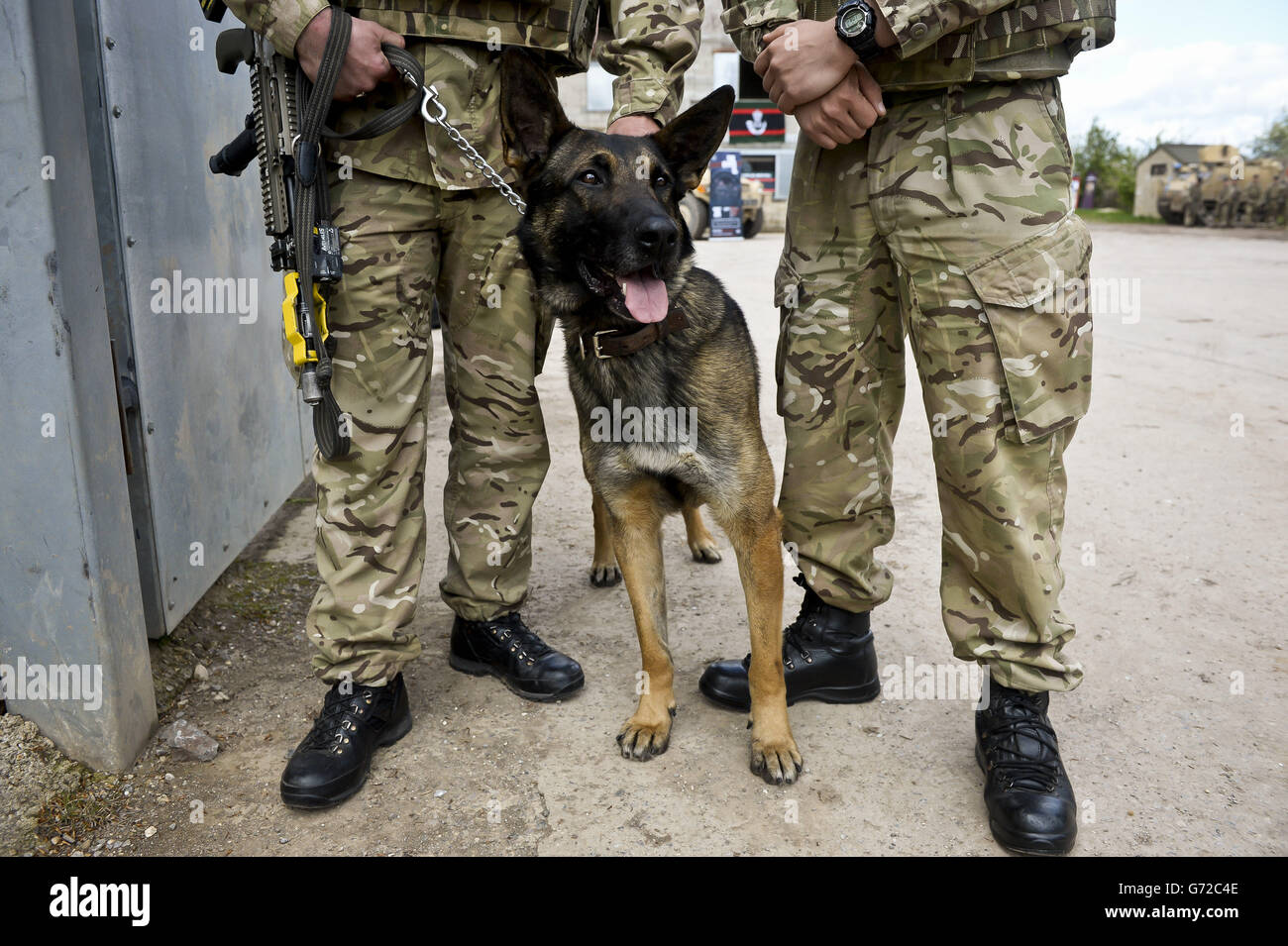 Belgian army training hi-res stock photography and images - Alamy