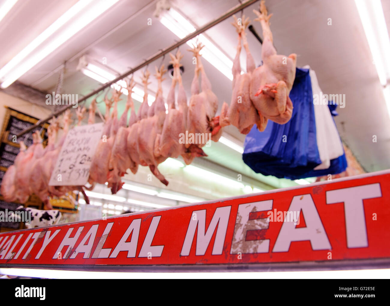 Politics halal hi-res stock photography and images - Alamy