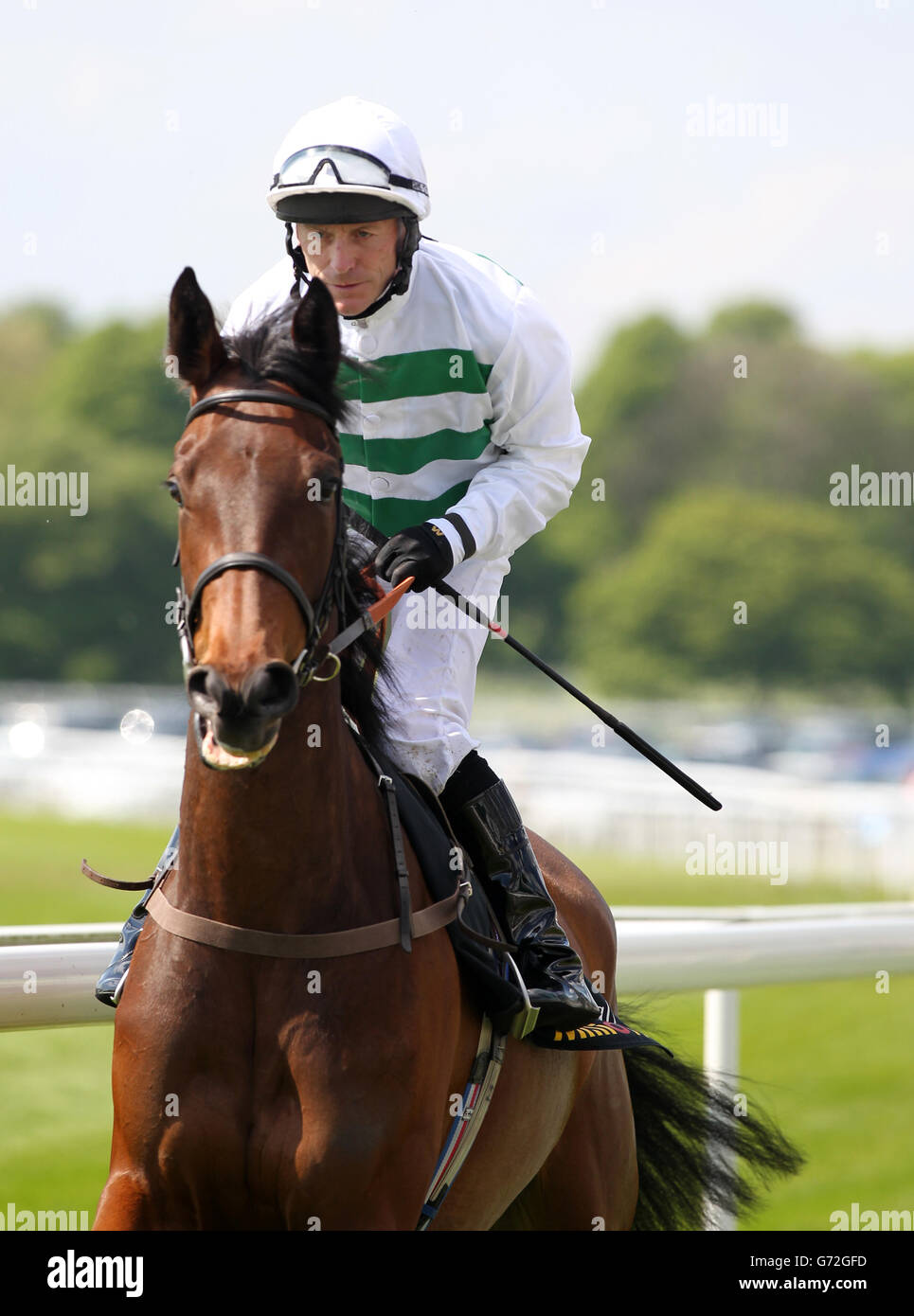 Horse racing may dante festival day one york racecourse hi-res stock ...