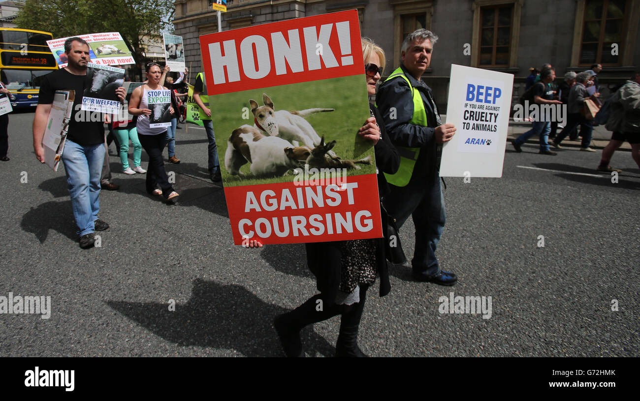 Animal Welfare conference Stock Photo - Alamy
