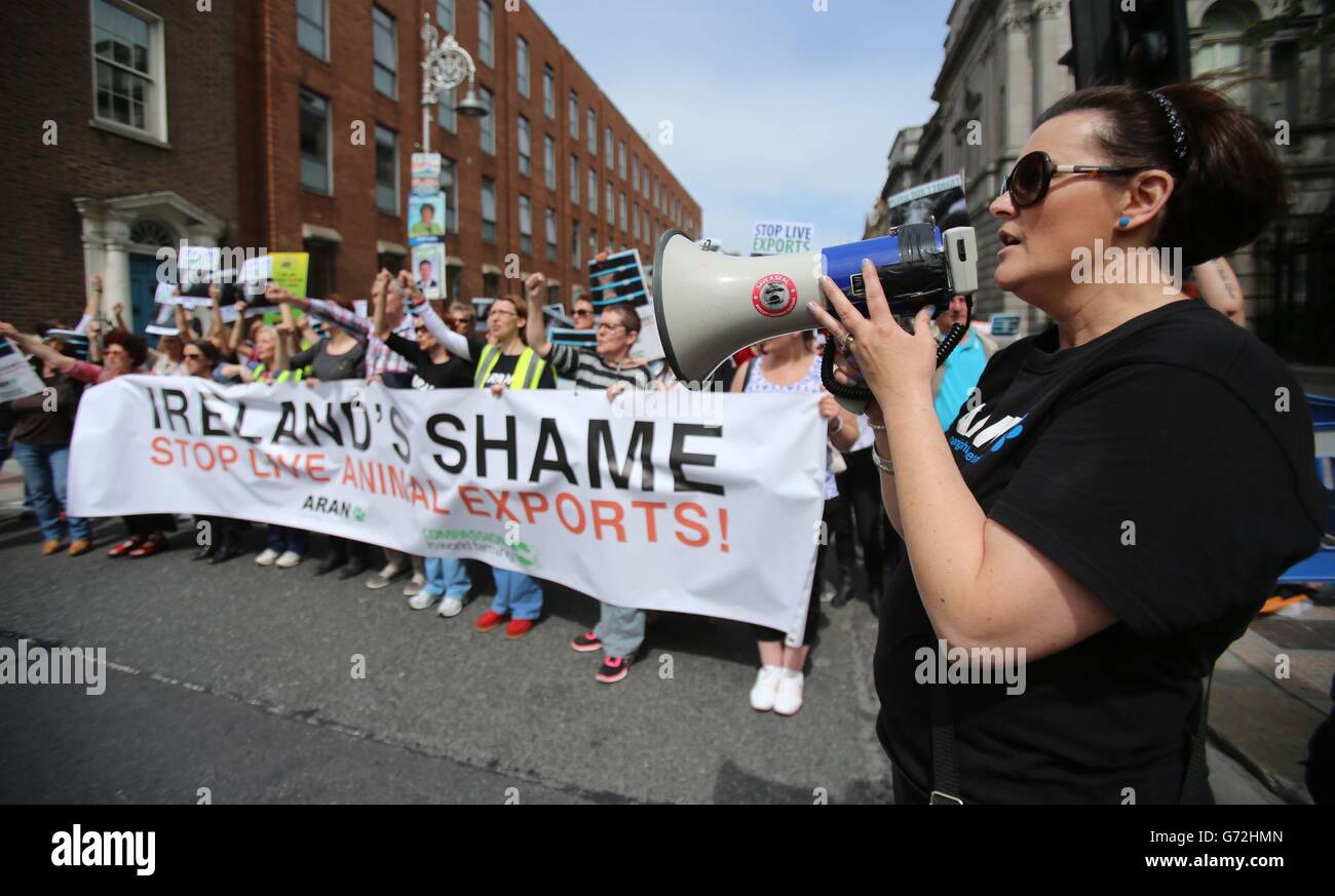 Animal Welfare conference Stock Photo - Alamy