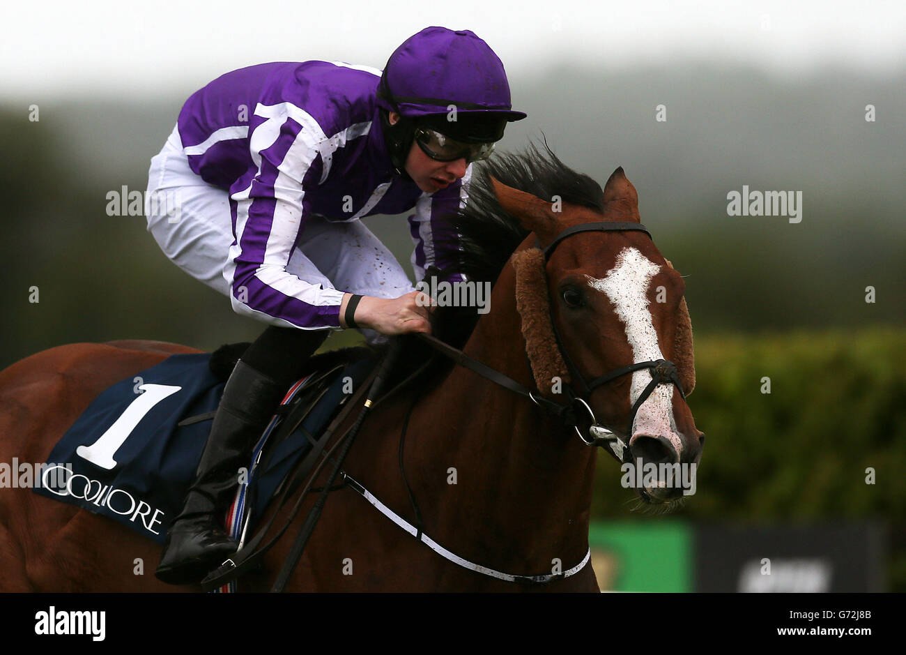 Horse Racing - Coolmore Vintage Crop Stakes Day - Navan Racecourse ...