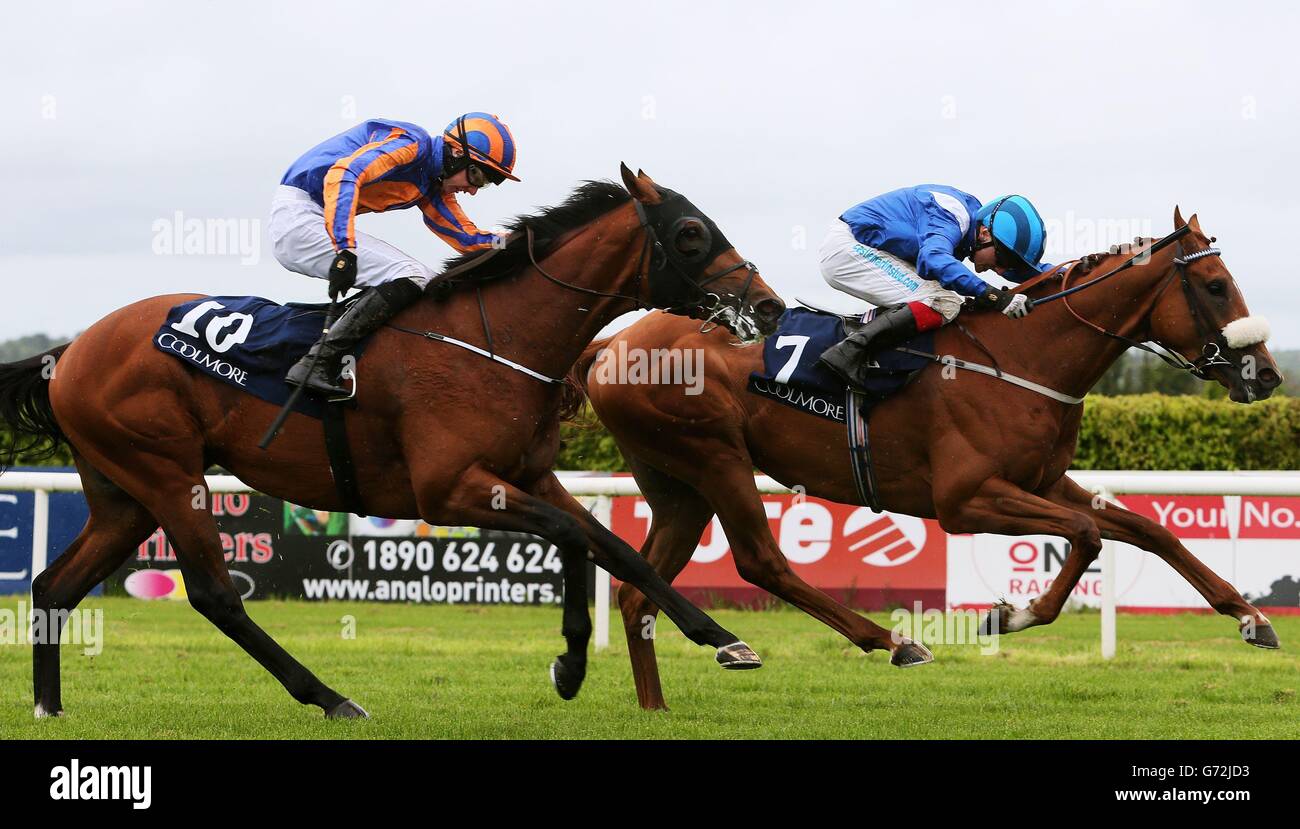 Horse Racing Navan Racecourse High Resolution Stock Photography and ...