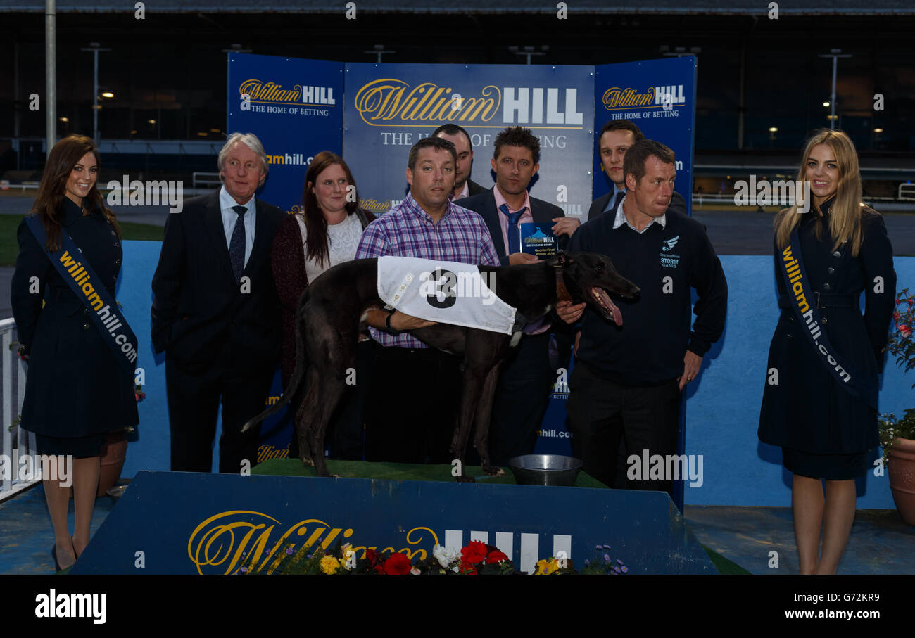 Greyhound Racing - William Hill Derby - Quarter Finals - Wimbledon ...