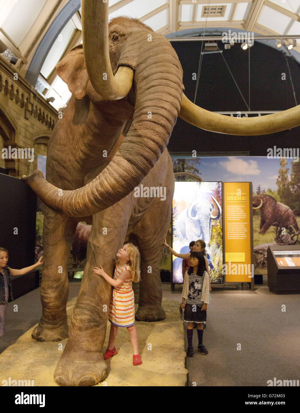 Columbian Mammoth Size