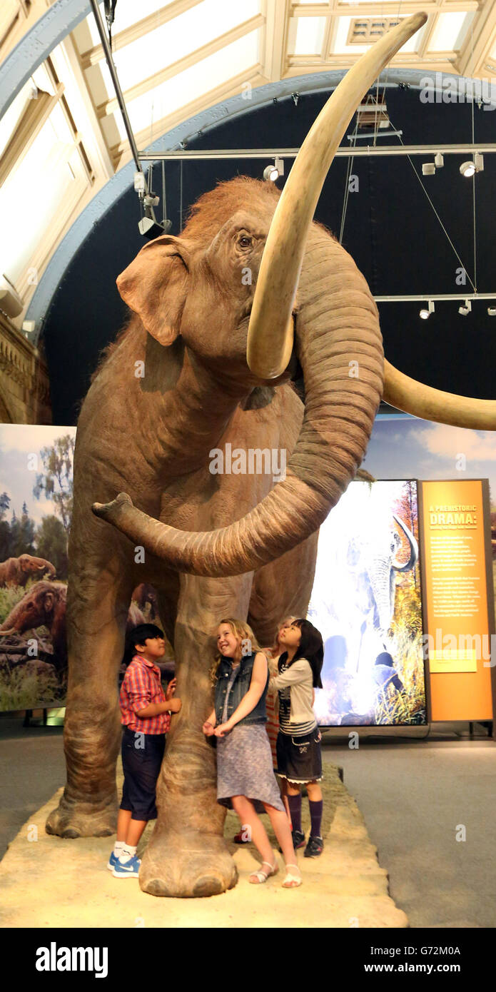 Columbian Mammoth Stock Photos & Columbian Mammoth Stock Images - Alamy