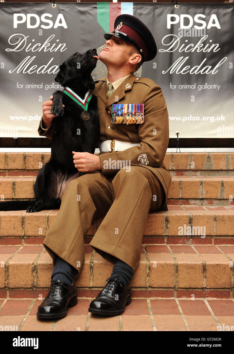 Posthumous pdsa dickin medal army dog hi-res stock photography and ...