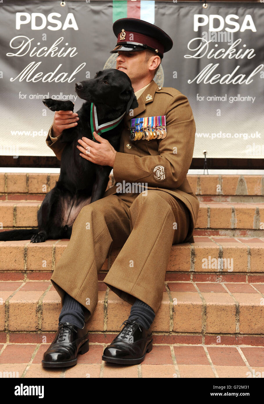 Sergeant major of the army hi-res stock photography and images - Alamy